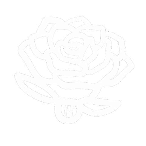 Animated White Rose