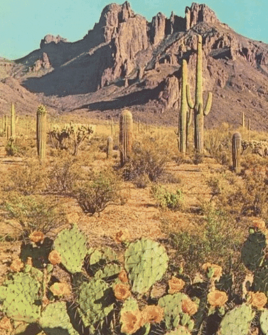 Landscape Desert GIF by Vincent Winter - Find & Share on GIPHY