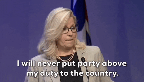 Liz Cheney Gop GIF by GIPHY News - Find & Share on GIPHY