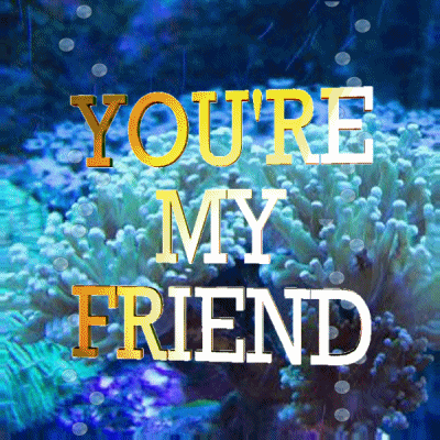 Best Friends Friend GIF - Find & Share on GIPHY