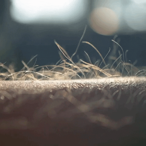 Bump Stock GIFs - Get the best GIF on GIPHY