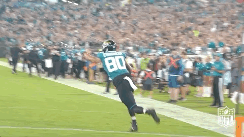 Jacksonville Jaguars Football GIF by NFL - Find & Share on GIPHY