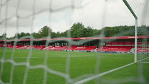 The Peninsula Stadium GIFs - Get the best GIF on GIPHY