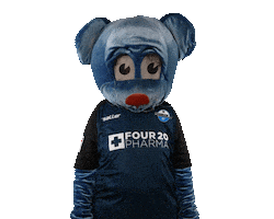 SC Paderborn 07 GIFs on GIPHY - Be Animated