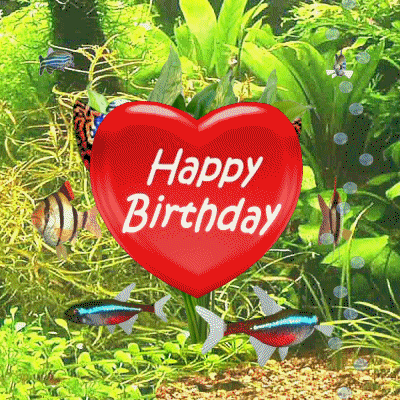 Fishy-birthday GIFs - Get the best GIF on GIPHY