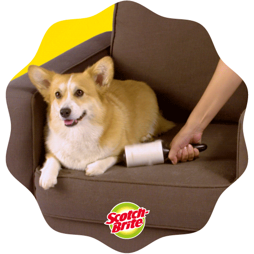 3M GIFs on GIPHY - Be Animated