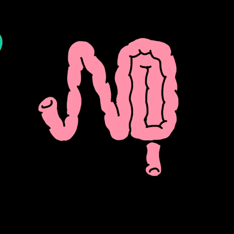 Guts GIFs - Get the best GIF on GIPHY