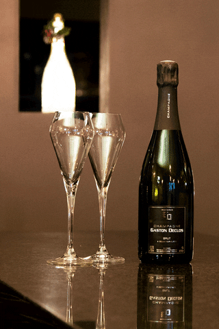 Champagne Bottle GIFs - Get the best GIF on GIPHY
