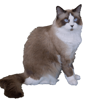 Tired Cat Sticker by vandehart for iOS & Android | GIPHY