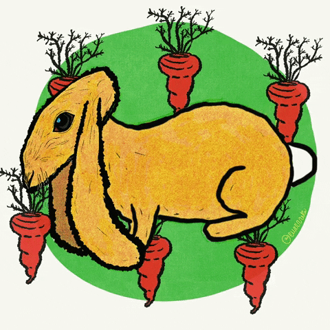 Cottontail GIFs - Get the best GIF on GIPHY