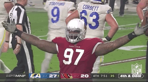 Arizona Cardinals Football GIF by NFL - Find & Share on GIPHY