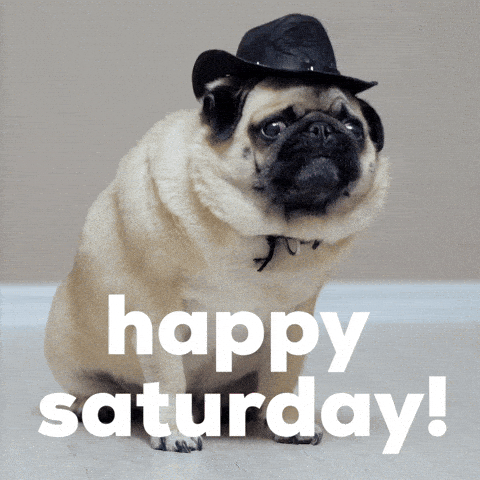 Happy Friday Dog Gif