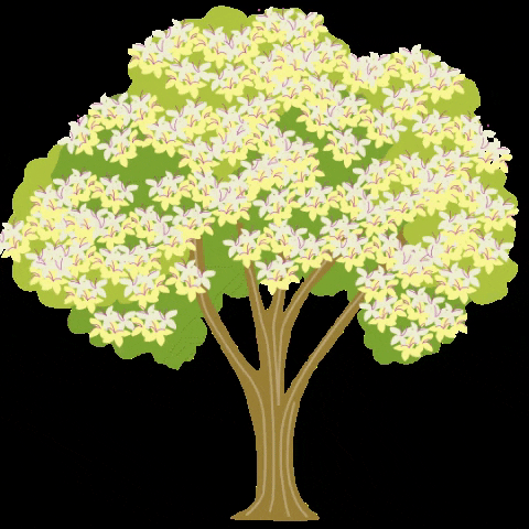 Animated Tree Gif