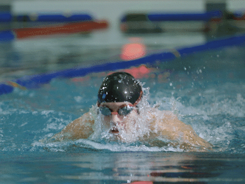 Diving Swimming GIF by AfterShokz - Find & Share on GIPHY