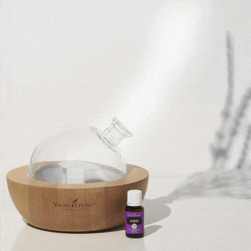 Diffusing Essential Oils GIF by Young Living Essential Oils - Find ...