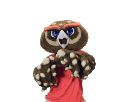 Fau Owlsley Sticker by Florida Atlantic University for iOS & Android ...