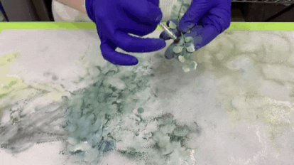 Dusting Leaves GIFs - Get the best GIF on GIPHY