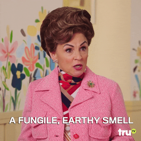 Amy Sedaris Smell GIF by truTV’s At Home with Amy Sedaris - Find ...