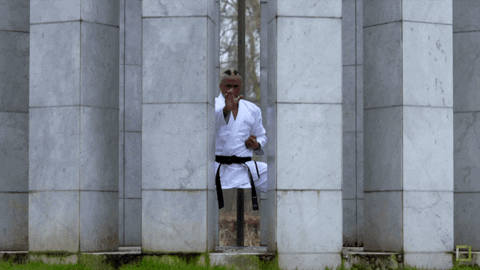 Karate Combat GIF - Find & Share on GIPHY