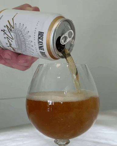 Miami Pale Ale GIFs - Get the best GIF on GIPHY