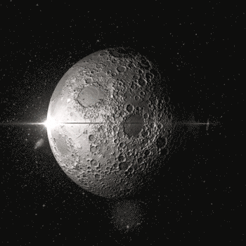 Full Split GIFs - Get the best GIF on GIPHY