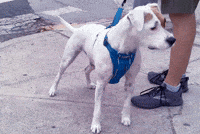 Hot-can GIFs - Get the best GIF on GIPHY