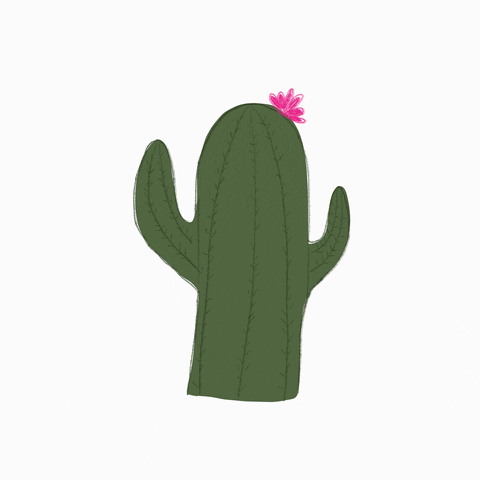 Fun GIF - Find & Share on GIPHY