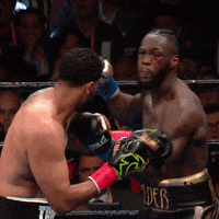 Knockout Gif