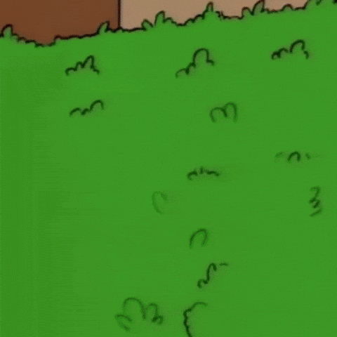 Funny-quack GIFs - Get the best GIF on GIPHY