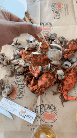 Hot-clams GIFs - Get the best GIF on GIPHY