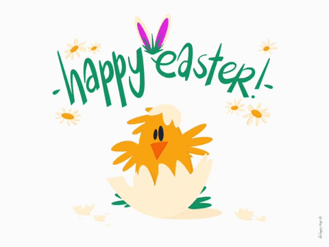 Easter Chicken GIFs - Get the best GIF on GIPHY