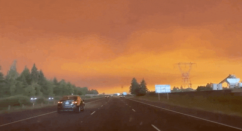 Orange Sky Wildfires GIF by GIPHY News - Find & Share on GIPHY
