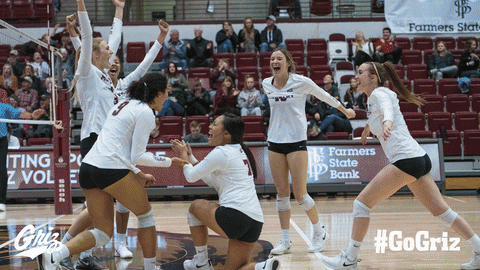 Montana Grizzlies GIF - Find & Share on GIPHY