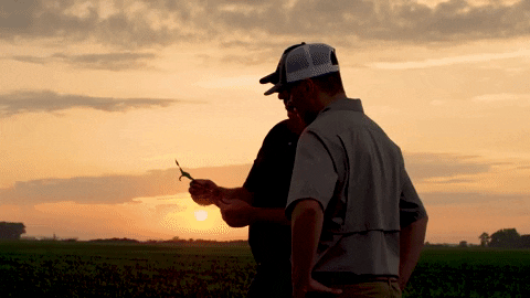 Farm Sunrise GIFs - Get the best GIF on GIPHY
