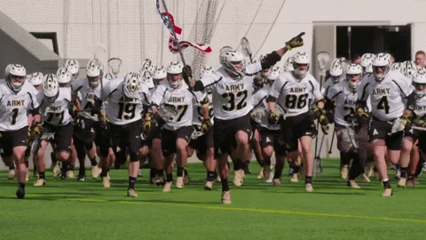 Lacrosse Gif
