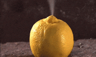 Lemon GIFs - Find & Share on GIPHY