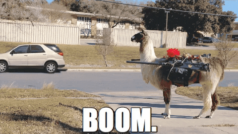 1St Phorm GIFs - Get the best GIF on GIPHY