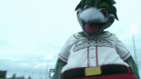 Great Lakes Loons GIF - Find & Share on GIPHY