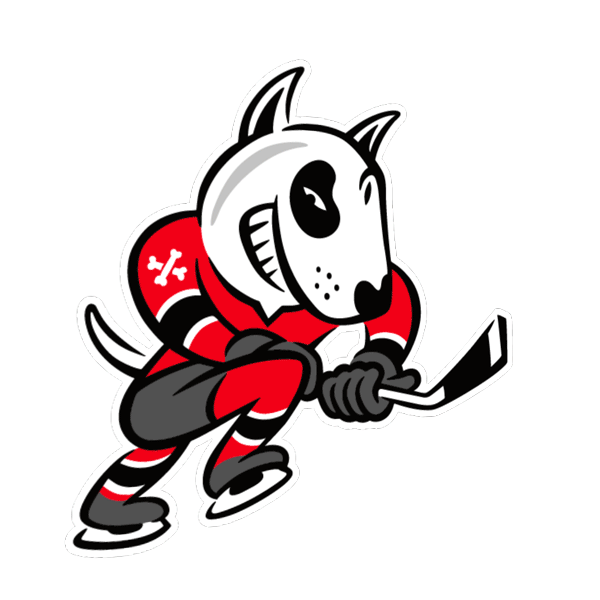 Junior Hockey Sticker by Niagara IceDogs for iOS & Android | GIPHY