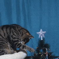Christmas Cat by echilibrultau | GIPHY