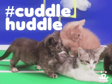 Cuddle Huddle GIFs - Get the best GIF on GIPHY