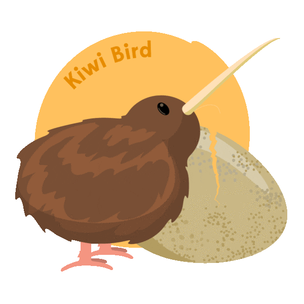 Kiwi Bird Nz Sticker by Pure New Zealand for iOS & Android | GIPHY
