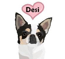 Custom GIF's created of your pet! by Watertown Humane Society | GIPHY