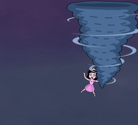 Luke Alexander GIF - Find & Share on GIPHY
