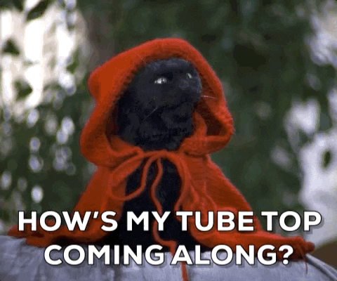 Hows My Tube Top Coming Along GIFs - Get the best GIF on GIPHY