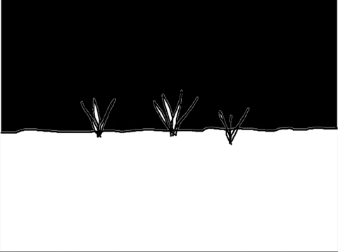 Art Lines GIFs - Get the best GIF on GIPHY