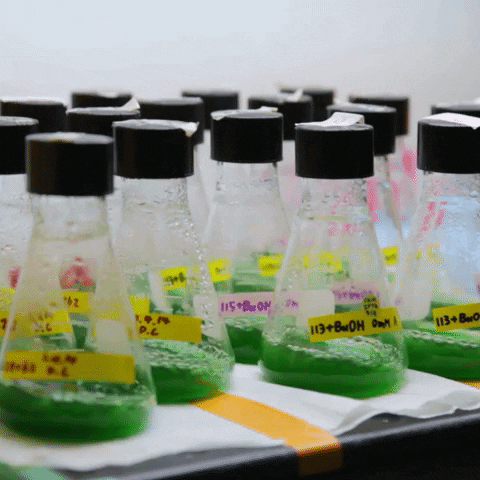 Microalgae GIFs - Find & Share on GIPHY