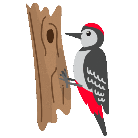 Bird Tree Sticker by Kew Gardens for iOS & Android | GIPHY