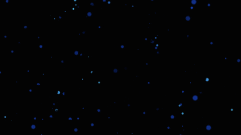 Blue GIF by Indigo Doors - Find & Share on GIPHY
