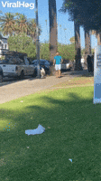 Happy-doggy-strolls-along-with-signature-swagger GIFs - Get the best ...